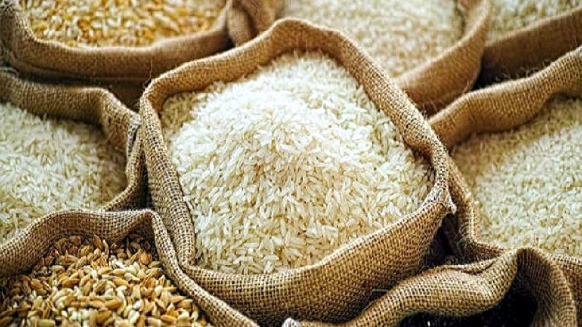 Assam Rice Research Institute Celebrates 100 Years: Transforming Rice ...