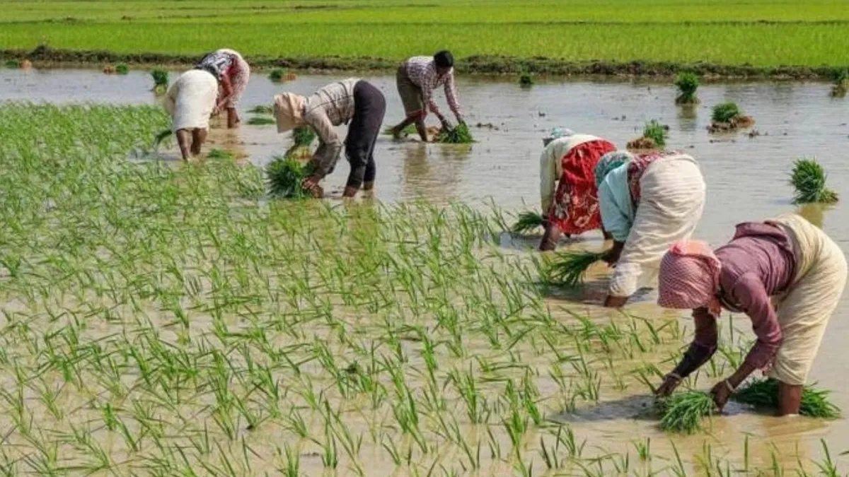 Cabinet Approves Continuation of PM Fasal Bima Yojana & Restructured Weather-Based Crop ...